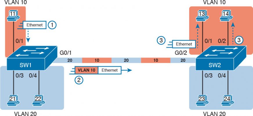 Implementing Ethernet Virtual LANs - Internold Networks