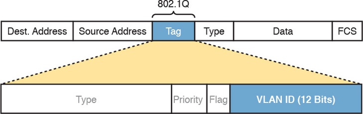 Implementing Ethernet Virtual LANs - Internold Networks